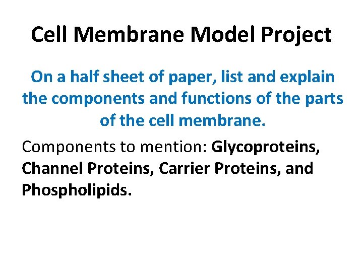 Cell Structure and Function Cell Boundaries What Are