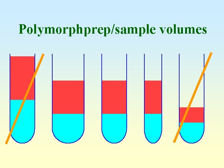 Purification of cells from human peripheral blood Mononuclear