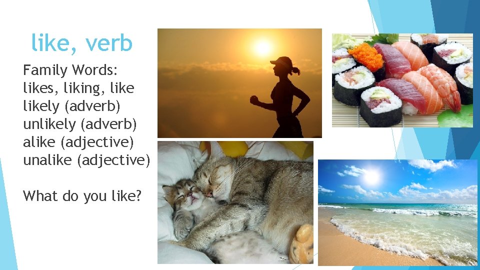 Unit 1 All About Me Essential Question Who