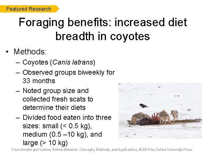 14 1 Sociality evolves when the net benefits