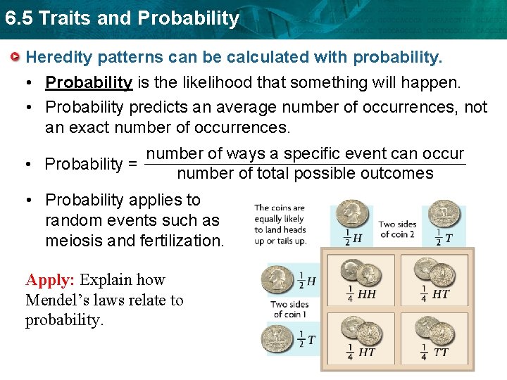 6 5 Traits and Probability KEY CONCEPT The
