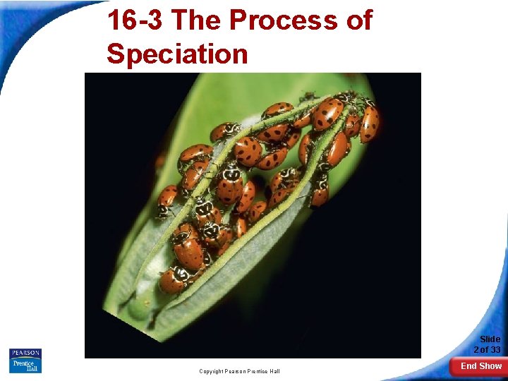Biology Slide 1 of 33 Copyright Pearson Prentice