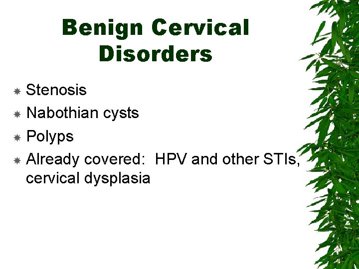 Benign Gynecological Disorders Tory Davis Pac Mercy Hospital