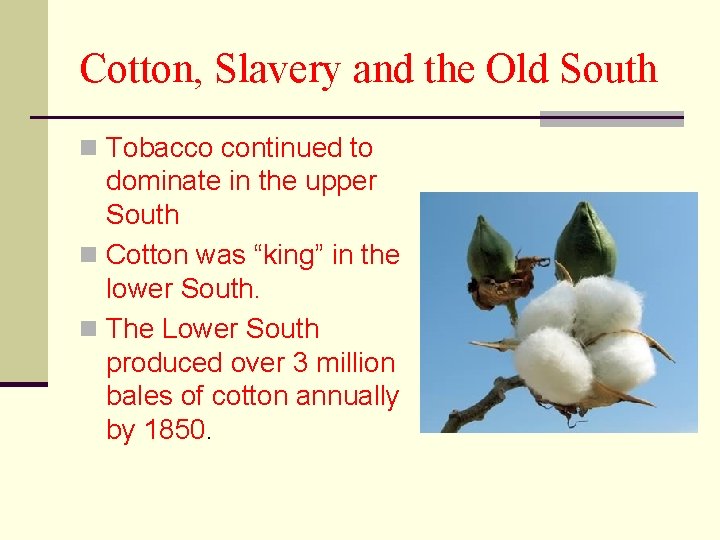 Cotton Slavery and the Old South Brinkley text