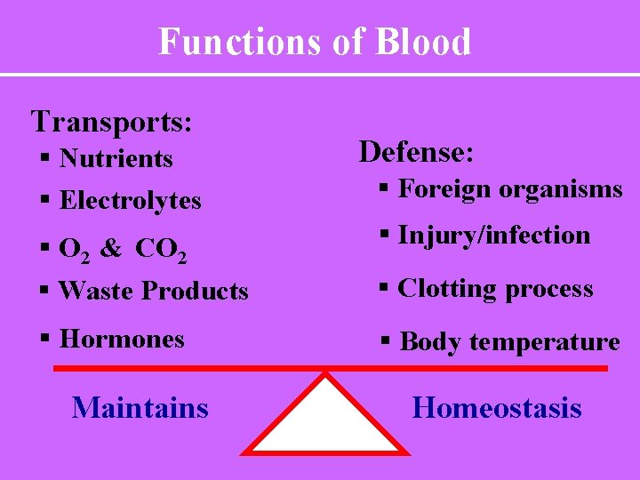 Physiology 441 The Blood Chapter 11 Text Human