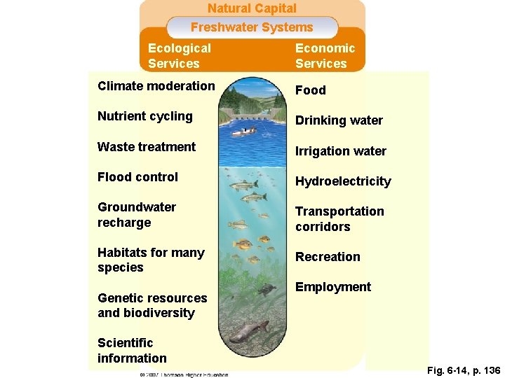 Chapter 6 Aquatic Biodiversity Core Case Study Why