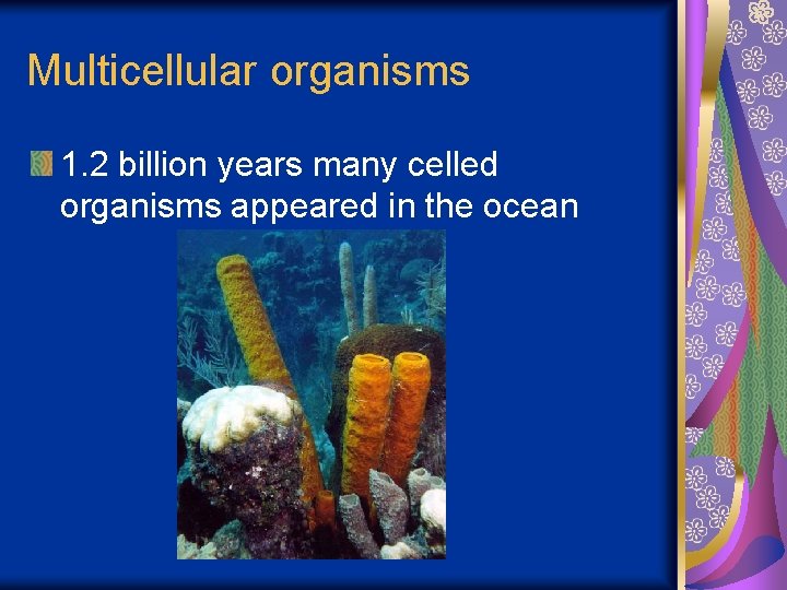 Change through Time 6 1 Earth has been