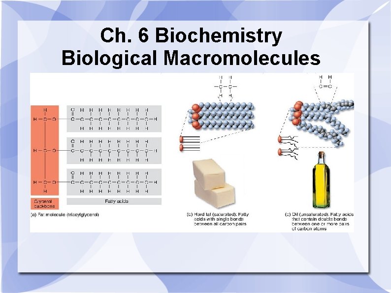 Ch 6 Biochemistry Biological Macromolecules Questions of the