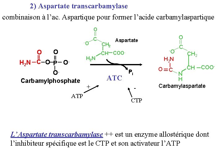 METABOLISME DES BASES PURIQUES ET PYRIMIDIQUES HypoHyper uricmies