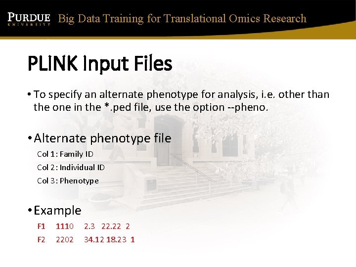 Big Data Training for Translational Omics Research Validation