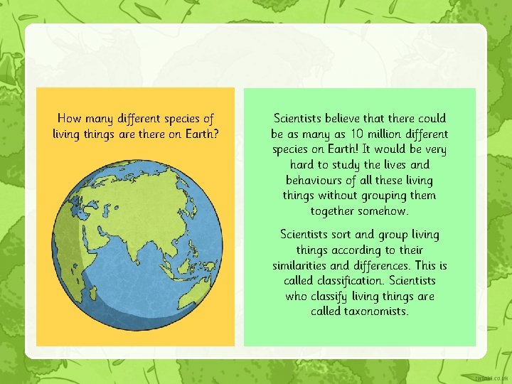 Science Living Things and Their Habitats Year One