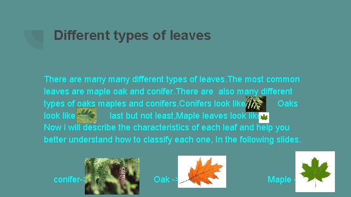 Leaf Project By Quentin How to classify a
