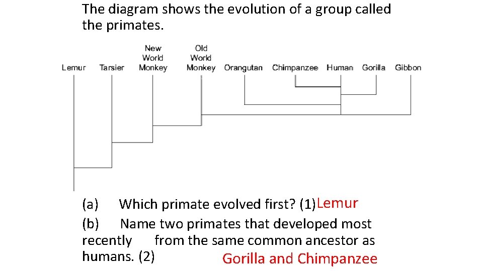 Biology Paper 2 combined exam questions Menstrual cycle