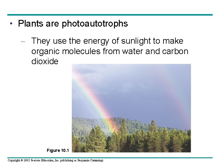 Chapter 10 Photosynthesis Power Point Lectures for Biology