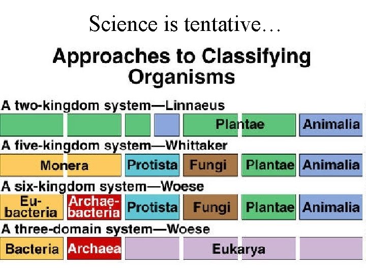 What is Biology Why do we study Biology