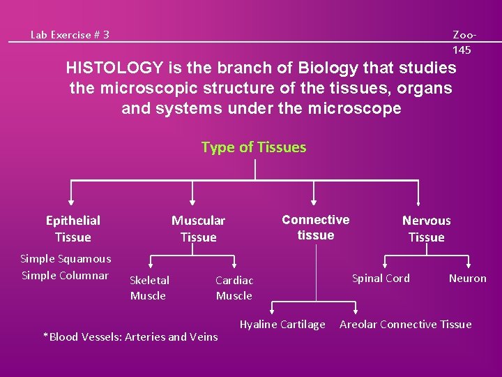 Lab Exercise 5 Zoo 145 Lab Exercise 3