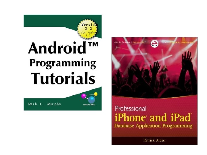 Winter Projects Problem Solving Programming Anny Pair Programming