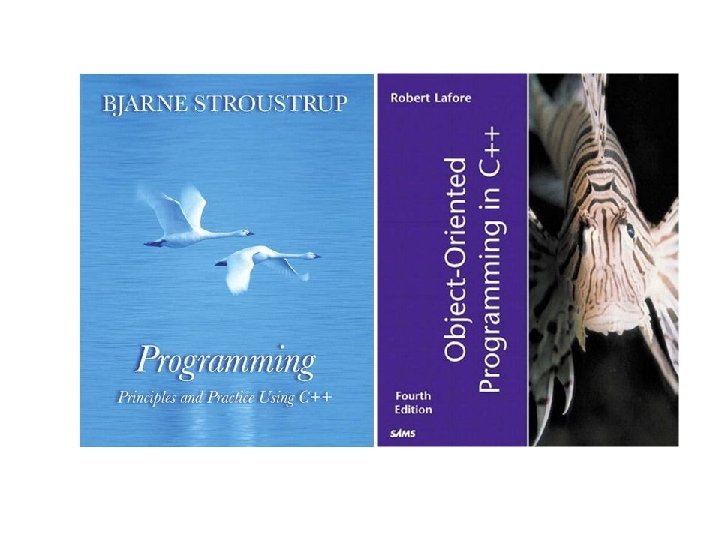 Winter Projects Problem Solving Programming Anny Pair Programming