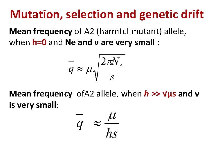 Lab 10 Mutation Selection and Drift Goals 1