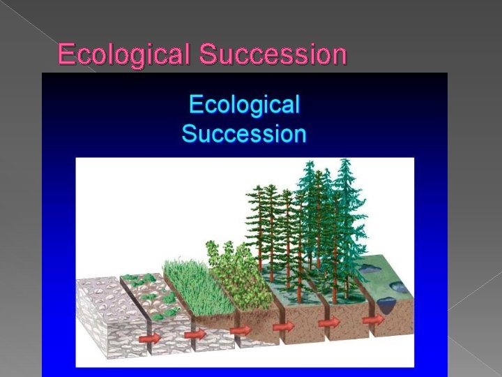 Ecosystems 5 th Grade Vocabulary Lesson 1 2
