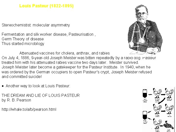 Anatomy and Medicine Discoveries in Biology and Anatomy