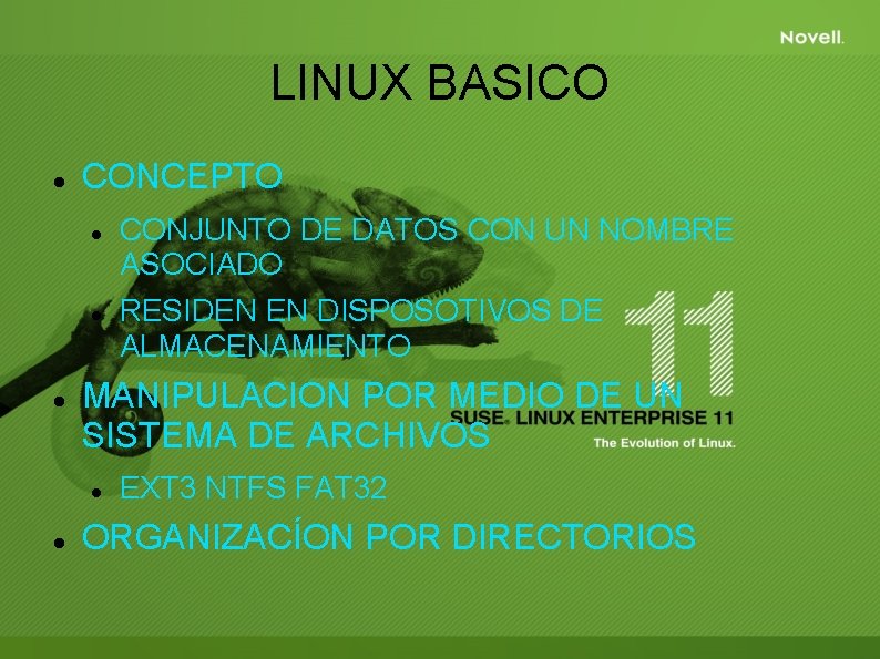 LINUX BASICO LINUX BASICO Archivos CONCEPTO DIRECTORIOS NOMBRES