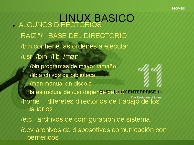 LINUX BASICO LINUX BASICO Archivos CONCEPTO DIRECTORIOS NOMBRES