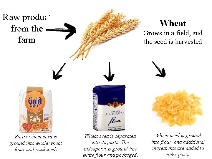 The Quicker the Better Food Processing What is