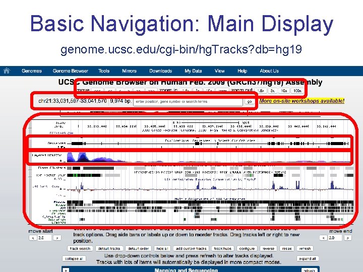 Visualizing ENCODE Data in the UCSC Genome Browser
