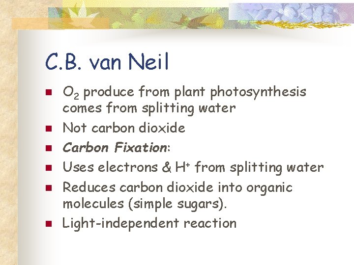 Photosynthesis Chapter 10 Photosynthesis d Cyanobacteria 10 m