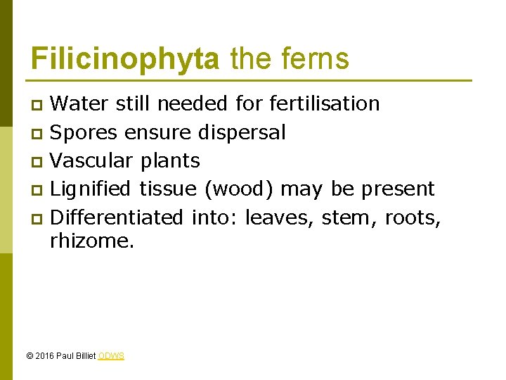 Diversity in the plant kingdom P Billiet 2016
