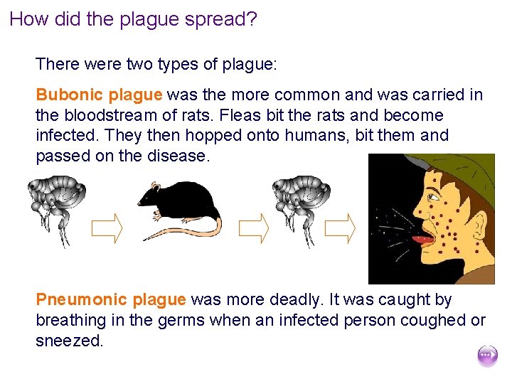 Why was the Black Death so Terrifying 1346