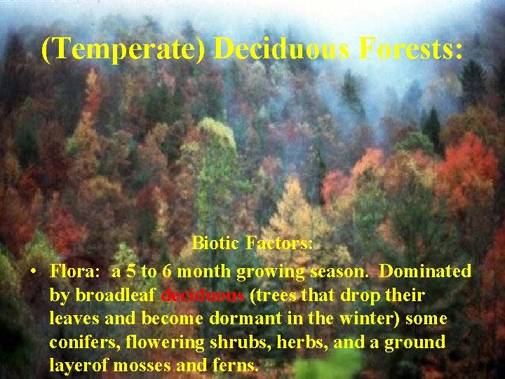 Unit 2 Notes Part B Ecology Terrestrial Ecosystems