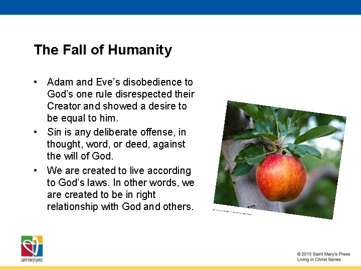 Introduction to the Book of Genesis Document TX