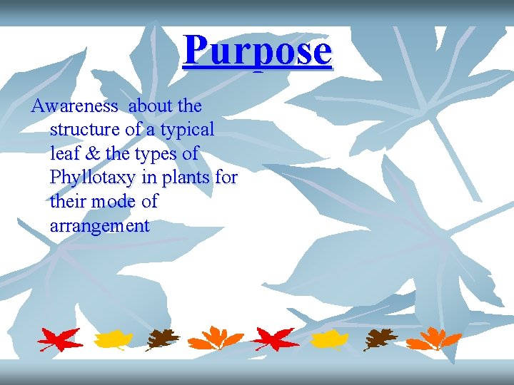 Lesson Plan BIOLOGY Std XI Concept Study of