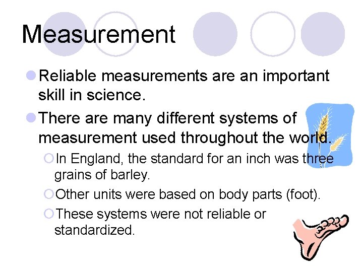 Tools and Measurement Chapter 1 Section 4 Vocabulary