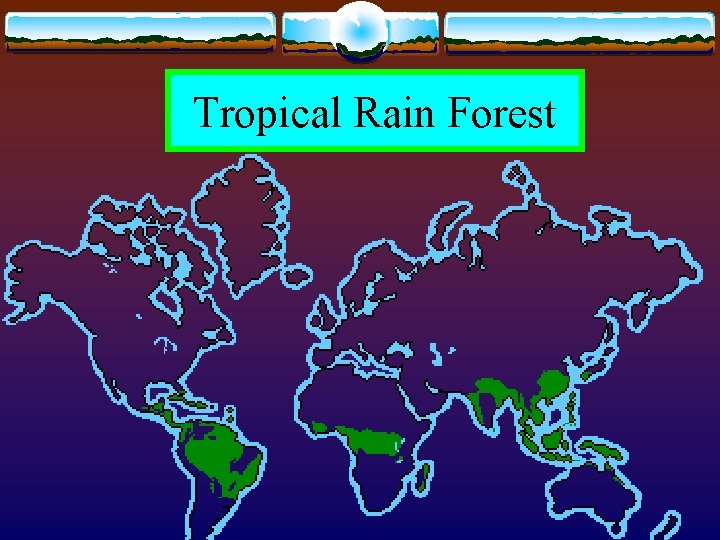 Introduction To Biodiversity What is Biodiversity Biological diversity