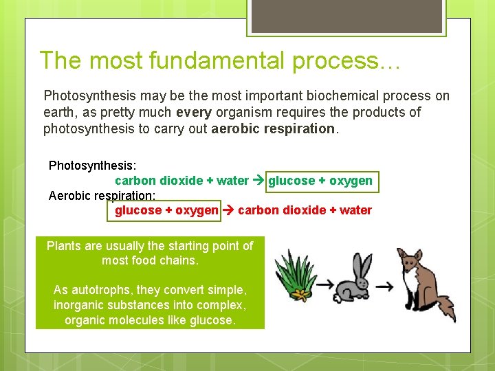Photosynthesis Lesson 1 The interrelationship between photosynthesis and