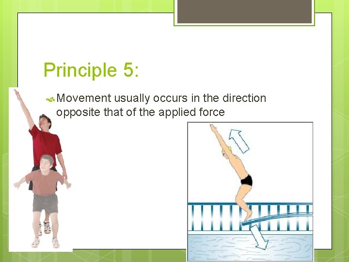 Principles of Biomechanical Analysis PSE 4 U Review