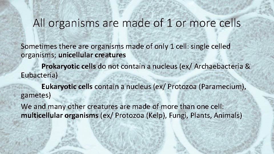 Cell Theory What have we learned about cells