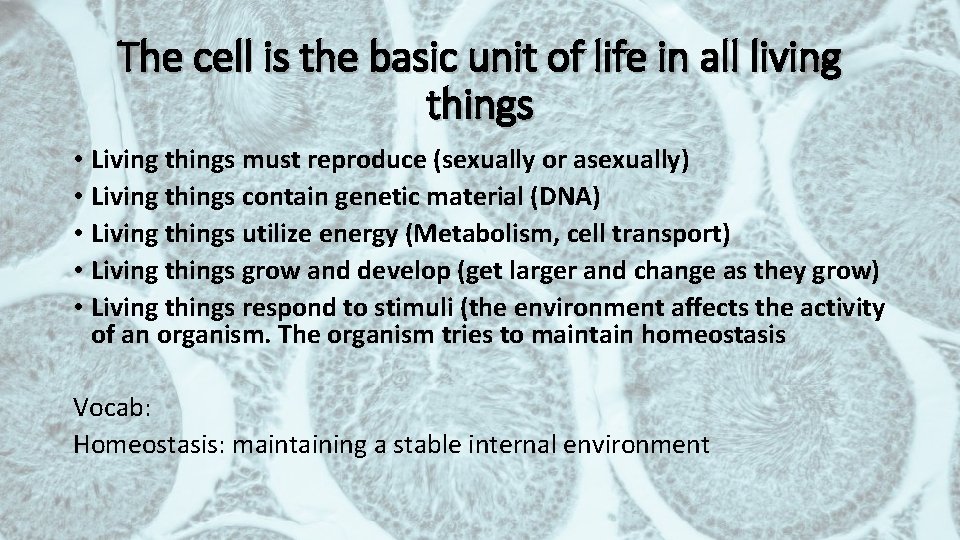 Cell Theory What have we learned about cells