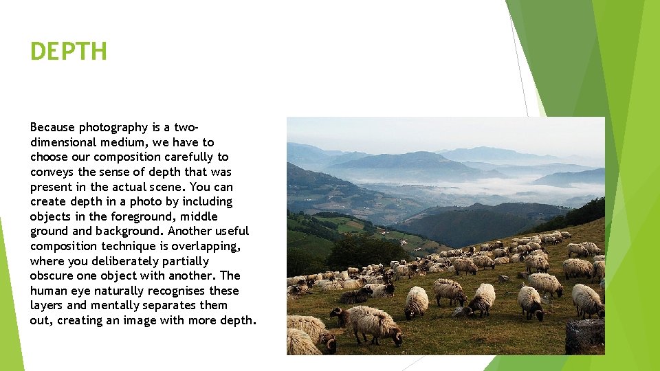 Basic Photography rules Few tips before taking pictures