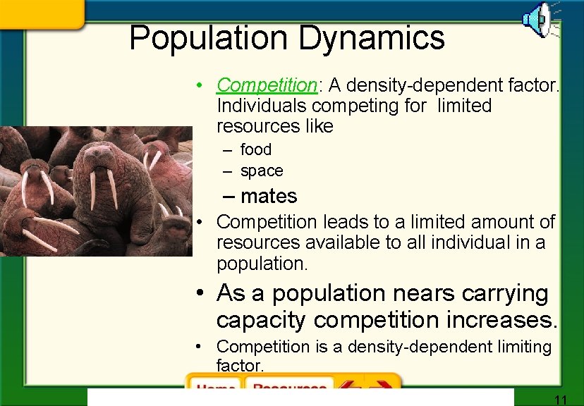 Population Biology Lesson 6 Click on a lesson