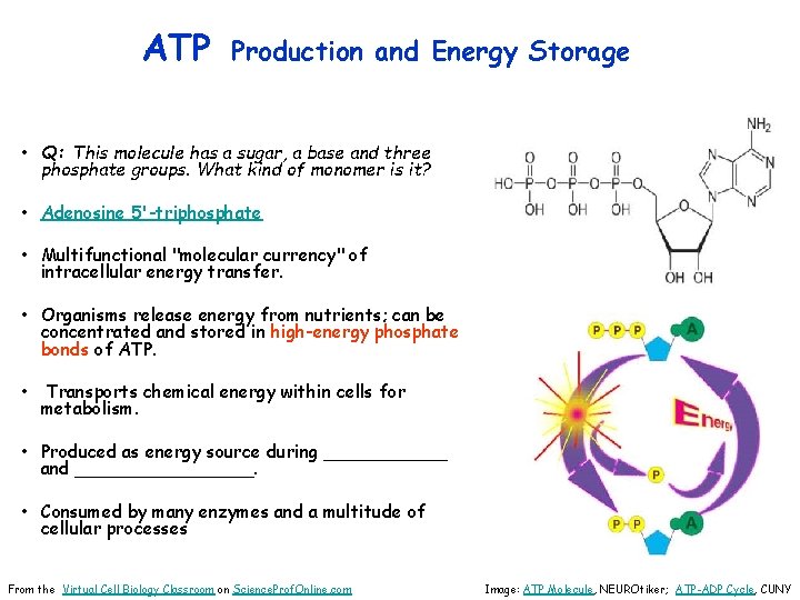 About Science Prof Online Power Point Resources Science