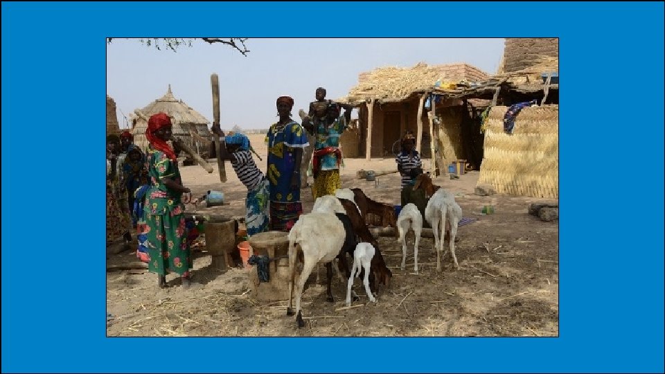 Africas Population Distribution The impact of location climate