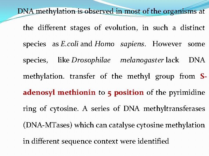 Lecture 10 for molecular biology by Dr Sawsan