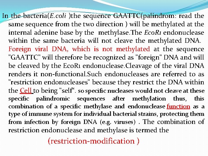 Lecture 10 for molecular biology by Dr Sawsan