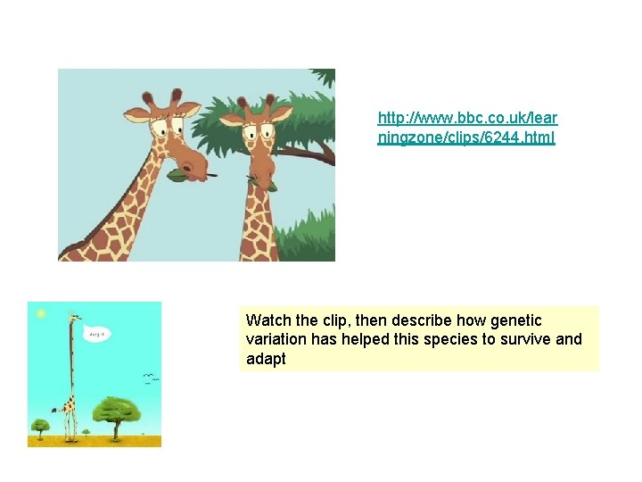 Defining Biodiversity What is the nature and value