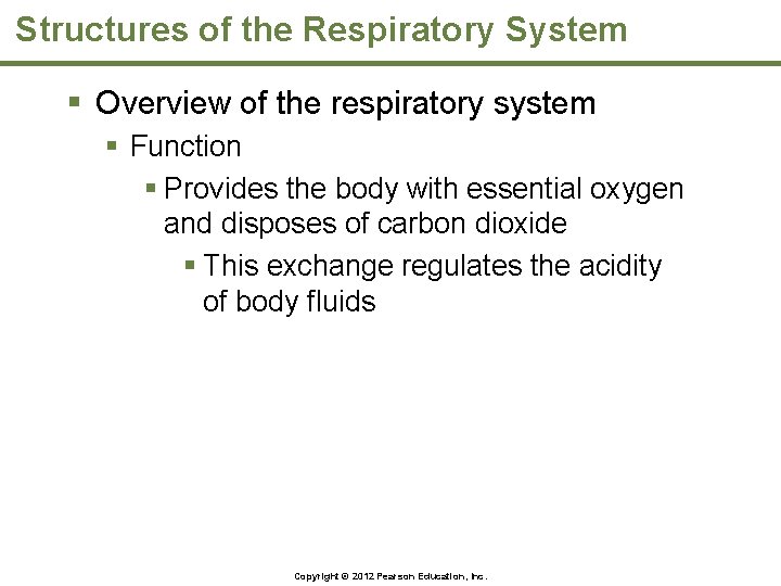 Chapter 14 The Respiratory System Lecture Presentation Betty