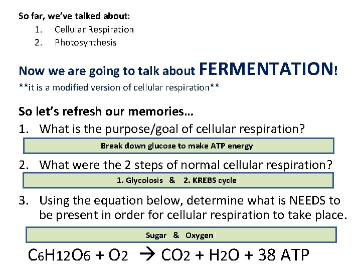 Bio Energetics Photosynthesis Respiration Fermentation WarmUp What is